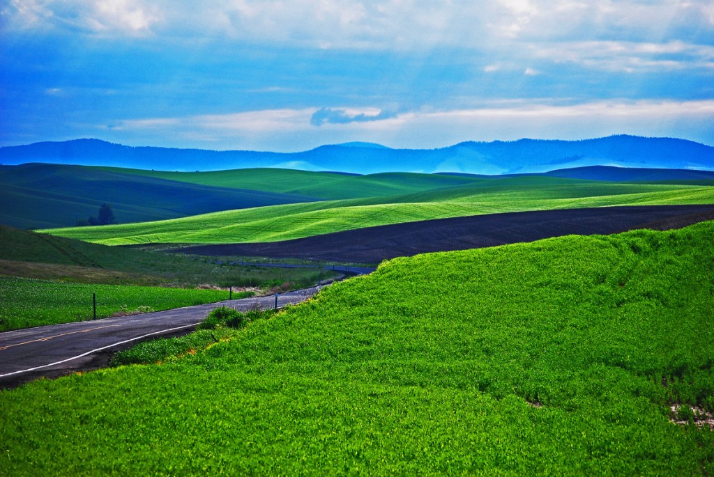 Keith Moul | The Far Field